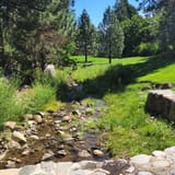 Caughlin Ranch Trails, Nevada - 696 Reviews, Map | AllTrails