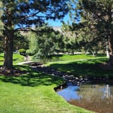 Caughlin Ranch Trails, Nevada - 696 Reviews, Map | AllTrails