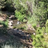 Caughlin Ranch Trails, Nevada - 696 Reviews, Map | AllTrails