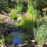 Caughlin Ranch Trails, Nevada - 696 Reviews, Map | AllTrails