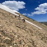 Jones Pass via Jones Pass Road, Colorado - 394 Reviews, Map | AllTrails