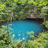 Round Spring Trail, Missouri - 96 Reviews, Map | AllTrails