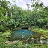 Round Spring Trail, Missouri - 96 Reviews, Map | AllTrails