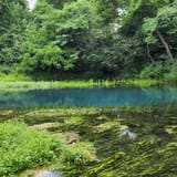 Round Spring Trail, Missouri - 96 Reviews, Map | AllTrails