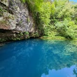 Blue Spring Trail, Missouri - 224 Reviews, Map | AllTrails