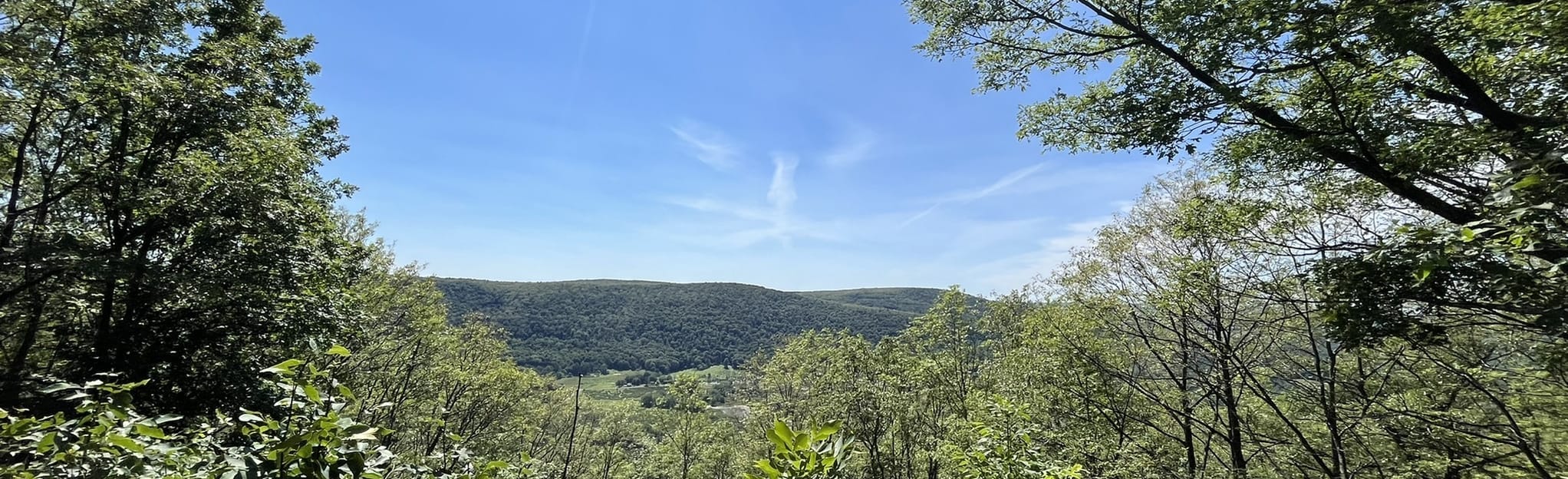 Abbott Loop Trail: 603 Reviews, Map - New York | AllTrails