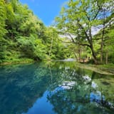 Blue Spring Trail, Missouri - 224 Reviews, Map | AllTrails