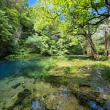 Blue Spring Trail, Missouri - 224 Reviews, Map | AllTrails