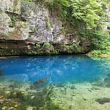 Blue Spring Trail, Missouri - 224 Reviews, Map | AllTrails