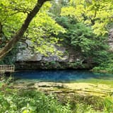 Blue Spring Trail, Missouri - 224 Reviews, Map | AllTrails