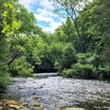 Blue Spring Trail, Missouri - 224 Reviews, Map | AllTrails