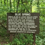 Blue Spring Trail, Missouri - 224 Reviews, Map | AllTrails