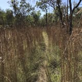 Tabletop Track, Northern Territory, Australia - 33 Reviews, Map | AllTrails
