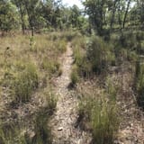 Tabletop Track, Northern Territory, Australia - 33 Reviews, Map | AllTrails