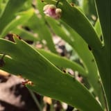 Tabletop Track, Northern Territory, Australia - 33 Reviews, Map | AllTrails