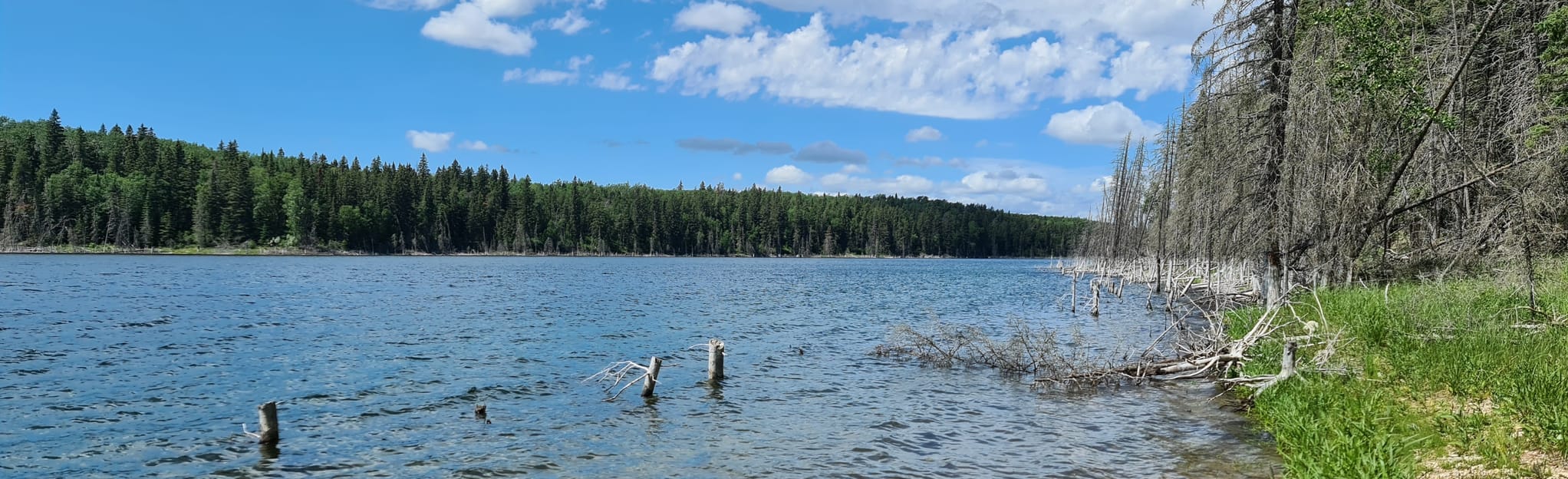 Blue Lakes Trail, Manitoba, Canada - 112 Reviews, Map | AllTrails