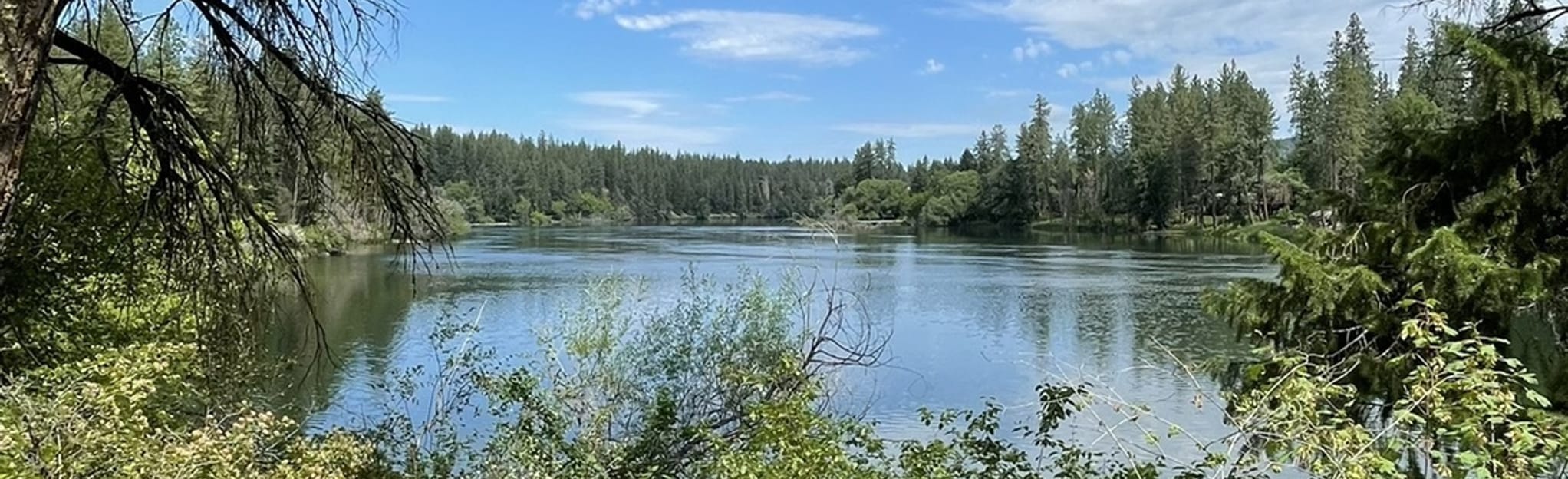 Riverside State Park Rattlesnake Trail - Washington | AllTrails