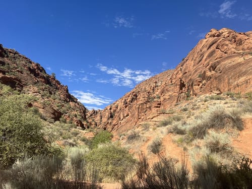 Best 10 Hikes and Trails in Red Cliffs National Conservation Area ...
