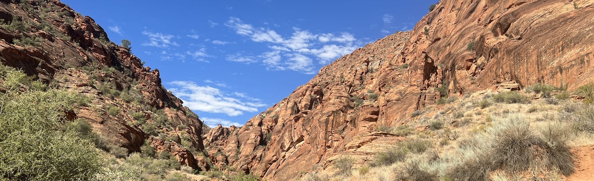 Red Reef Trail: 1964 Reviews, Map - Utah | AllTrails