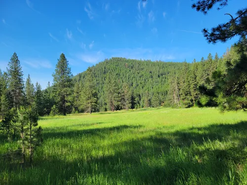 10 Best Hikes and Trails in Rattlesnake National Recreation Site ...