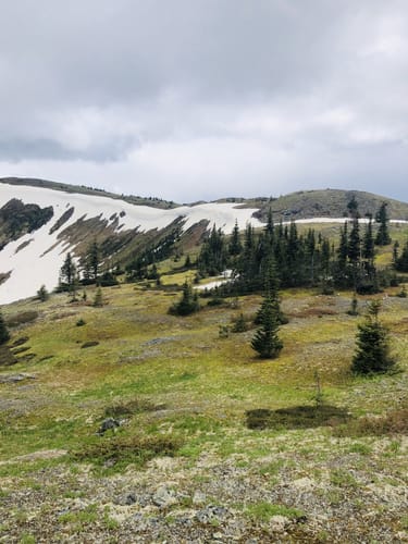 2023 Best Trails near Mount Murray | AllTrails