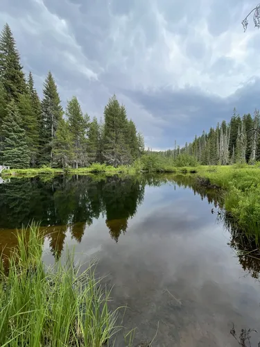 10 Best Easy Trails in Mount Hood National Forest | AllTrails