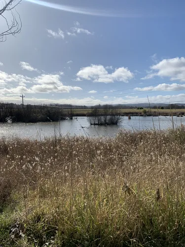Best Bird Watching Trails in Jerrabomberra Wetlands Nature Reserve ...