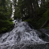 Cora Lake Trail, Washington - 232 Reviews, Map | AllTrails