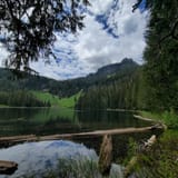 Cora Lake Trail, Washington - 232 Reviews, Map | AllTrails