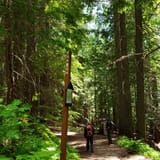 Mount Kit Carson Loop Road, Trail 140 and Trail 110 Loop, Washington ...