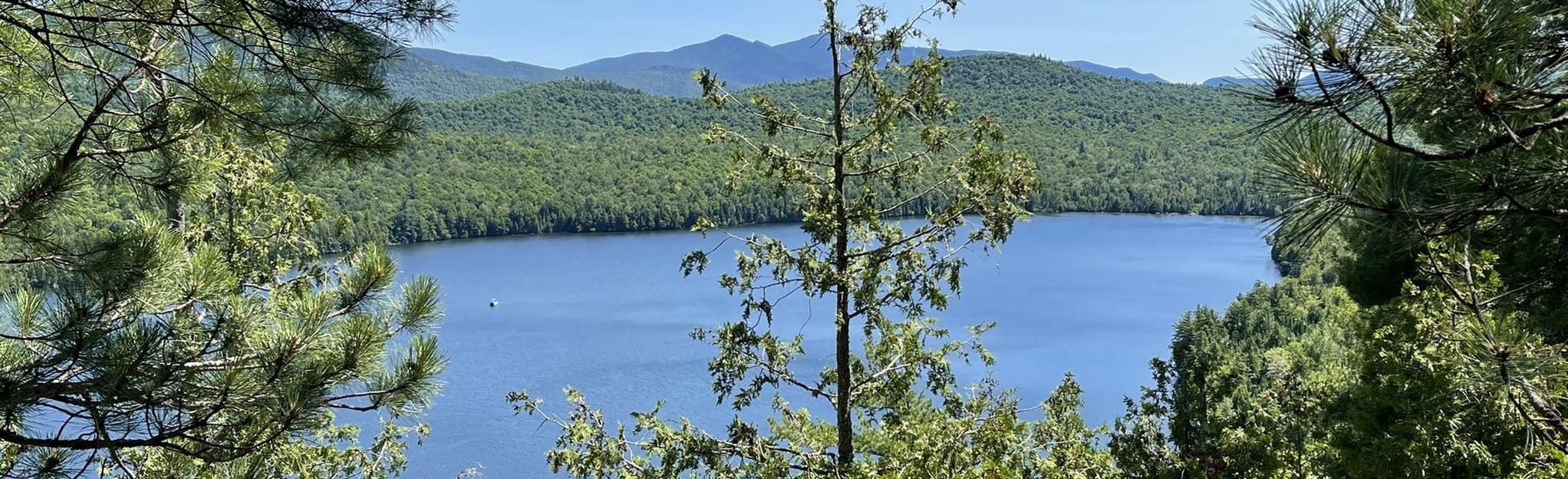 Silver Lake Bog Preserve Trail: 149 Reviews, Map - New York | AllTrails