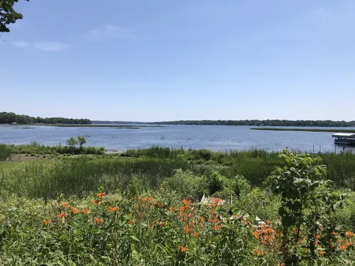 Best Hikes and Trails in White Bear Lake | AllTrails