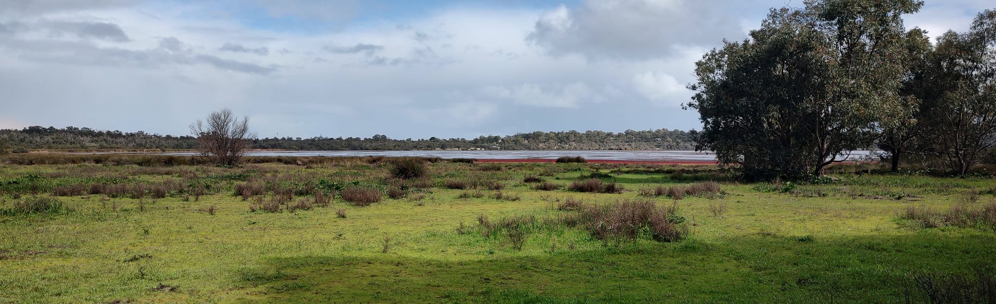 Thomsons Lake: 176 Fotos - Western Australia, Australien | AllTrails