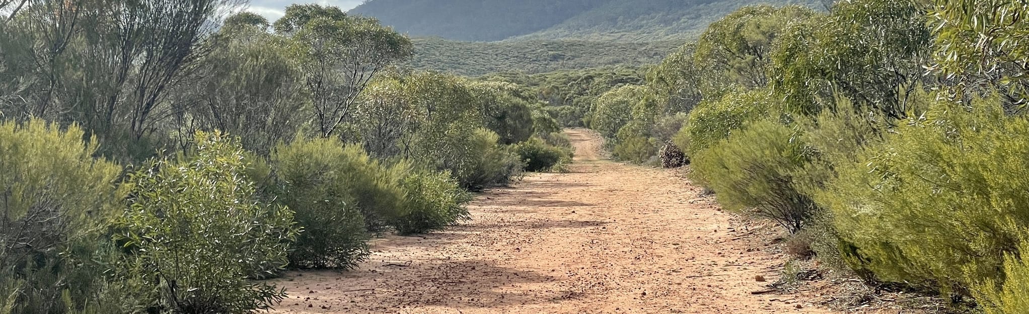 Mambray Creek to Alligator Gorge Hike, South Australia, Australia - 18 ...