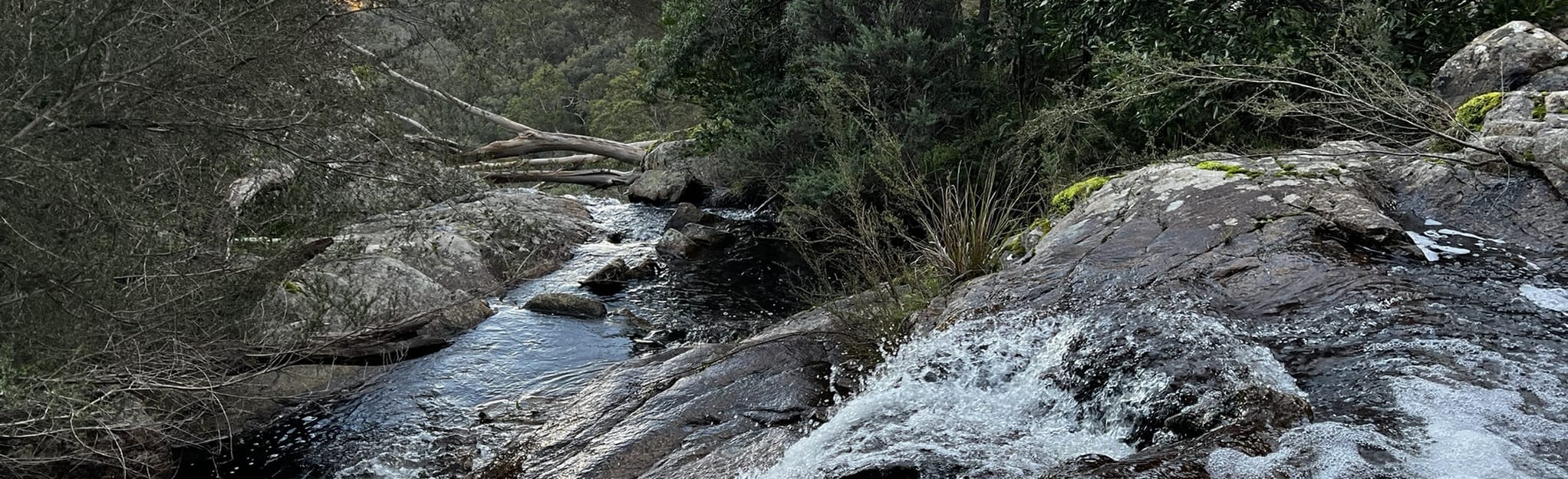 Mount Samaria Circuit, Victoria, Australia - 33 Reviews, Map | AllTrails Mount Samaria Circuit, Victoria, Australia - 33 Reviews, Map | AllTrails