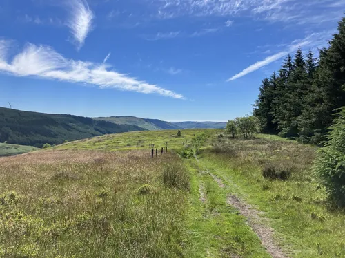 10 Best Walking Trails in Rhondda Cynon Taf | AllTrails