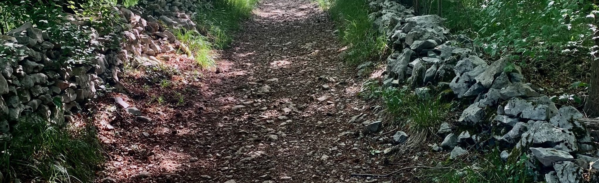 Gropada - Monte Kočerič, Friuli-Venezia Giulia, Italy - Map, Guide ...