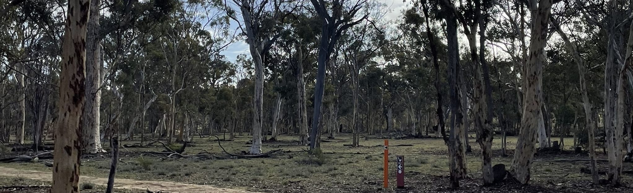 Wandoo Walk, Western Australia, Australia - 9 Reviews, Map | AllTrails