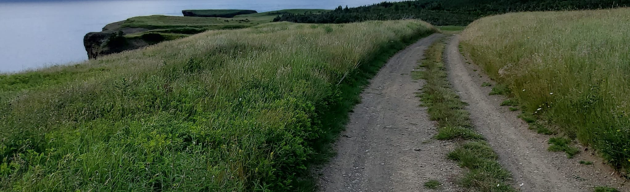 Bell Island Sea Stack: 27 Reviews, Map - Newfoundland and Labrador ...
