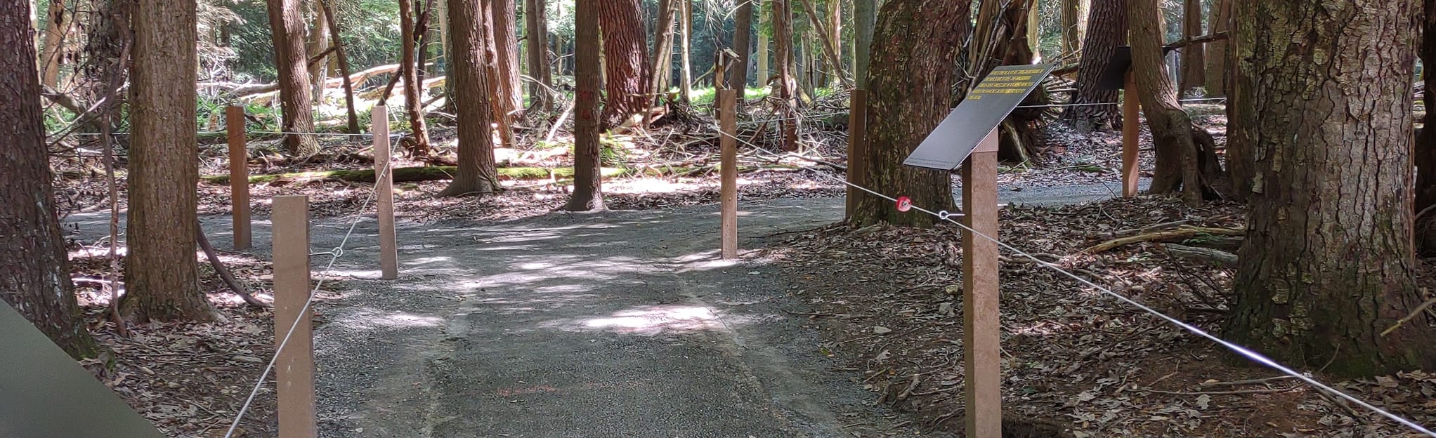 Cook Forest Paved Trail, Pennsylvania - 48 Reviews, Map | AllTrails