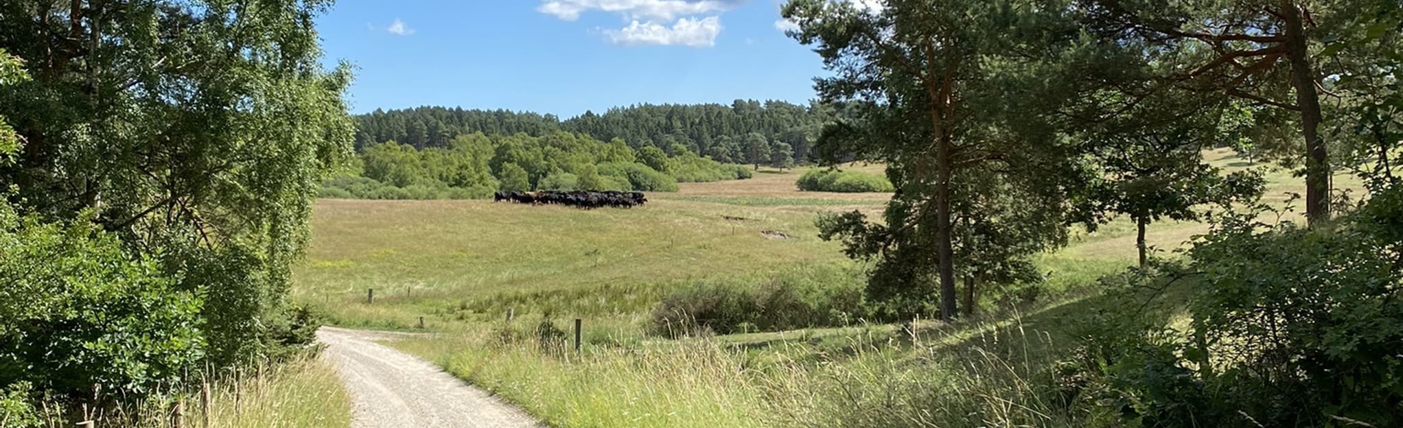 Mols Bjerge 3 Day Trip: 2 Reviews, Map - Central Denmark, Denmark ...