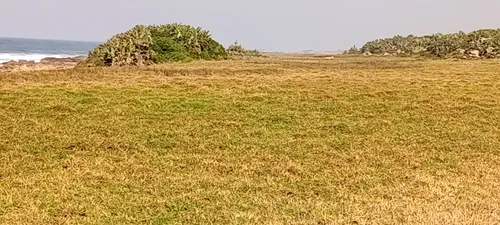 Best Hikes and Trails in Ngquza Hill | AllTrails