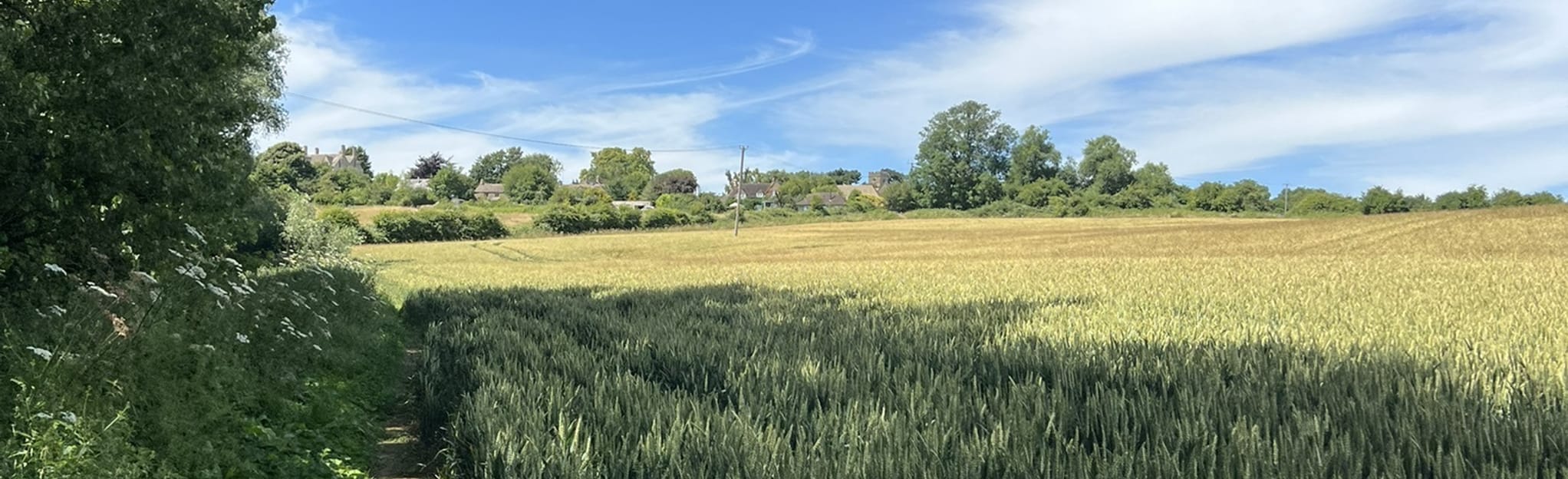 Fifield and Foxholes Nature Reserve Circular, Oxfordshire, England ...