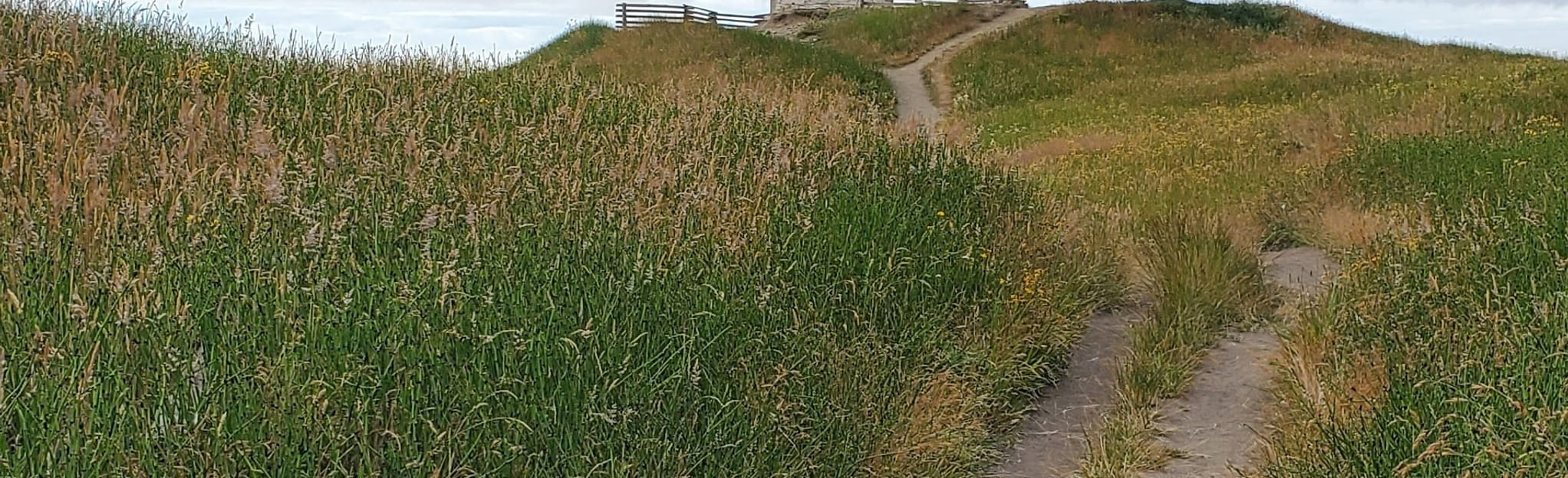 Cattle Point Trail: 86 Reviews, Map - Washington | AllTrails