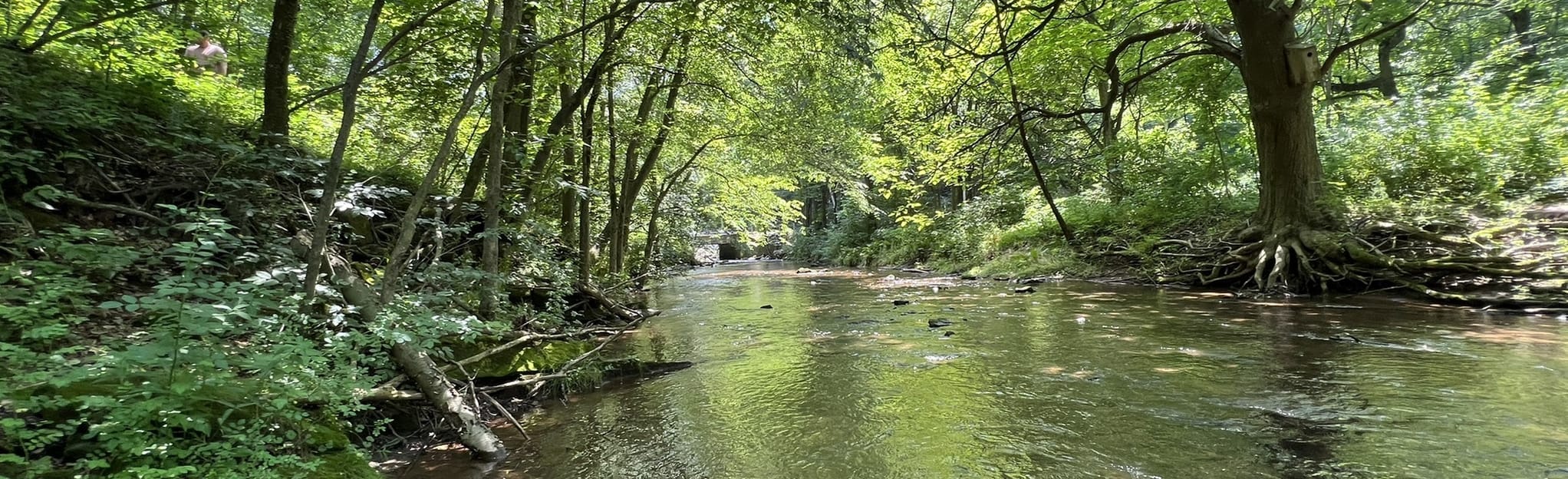 Horseshoe Trail, Explorer Lodge, Spring Trail, and Hammer Creek Road ...