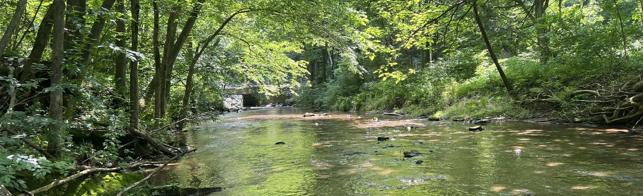 Horseshoe Trail: Furnace Hills Pike to Horseshoe Trail Road: 149 ...