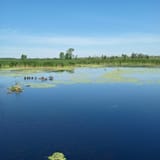 Wiouwash State Recreational Trail, Wisconsin - 243 Reviews, Map | AllTrails