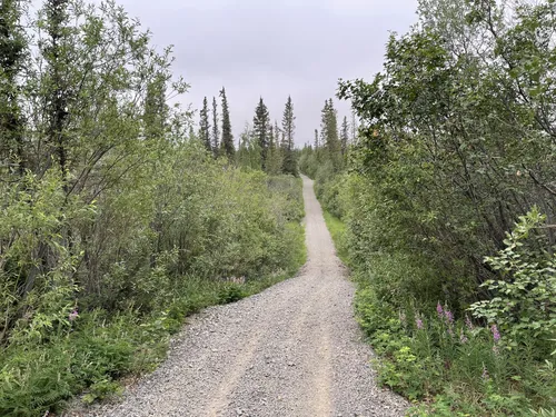 Best Walking Trails in Inuvik | AllTrails