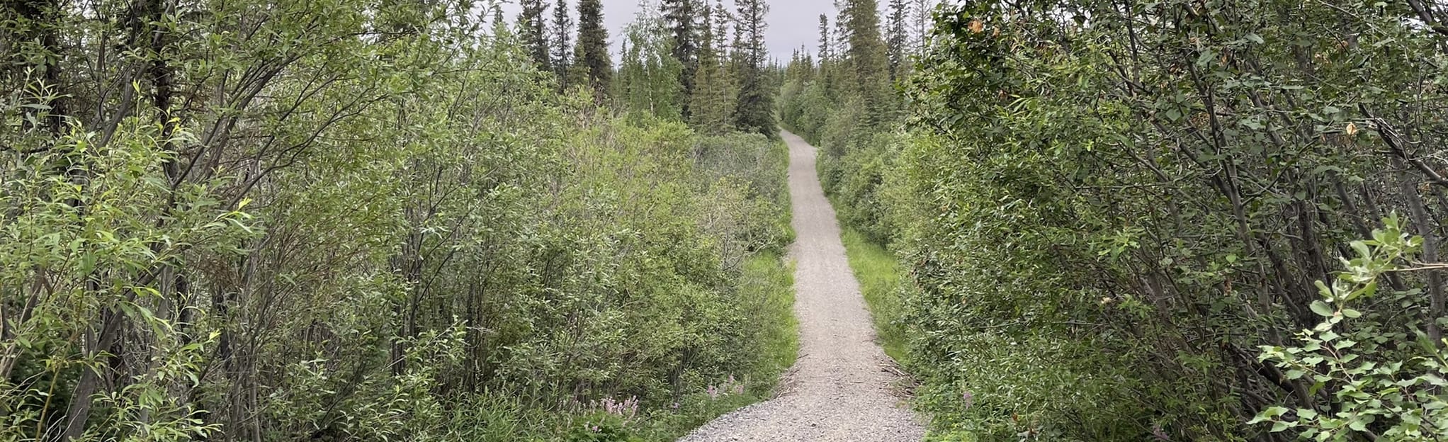 Boot Lake, Northwest Territories, Canada - 15 Reviews, Map | AllTrails