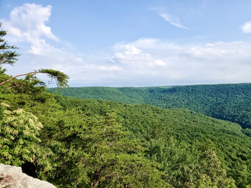 Best Hikes and Trails in Bridgestone Firestone Centennial Wilderness ...